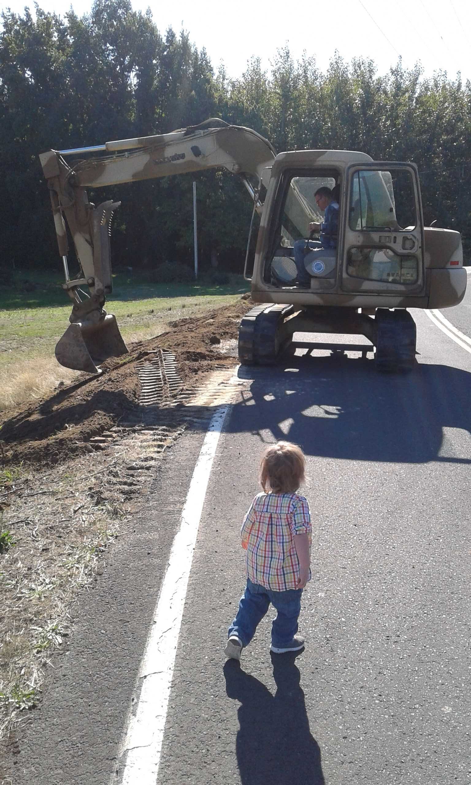 South Welcome Slough Levee Repair – Puget Island Diking District