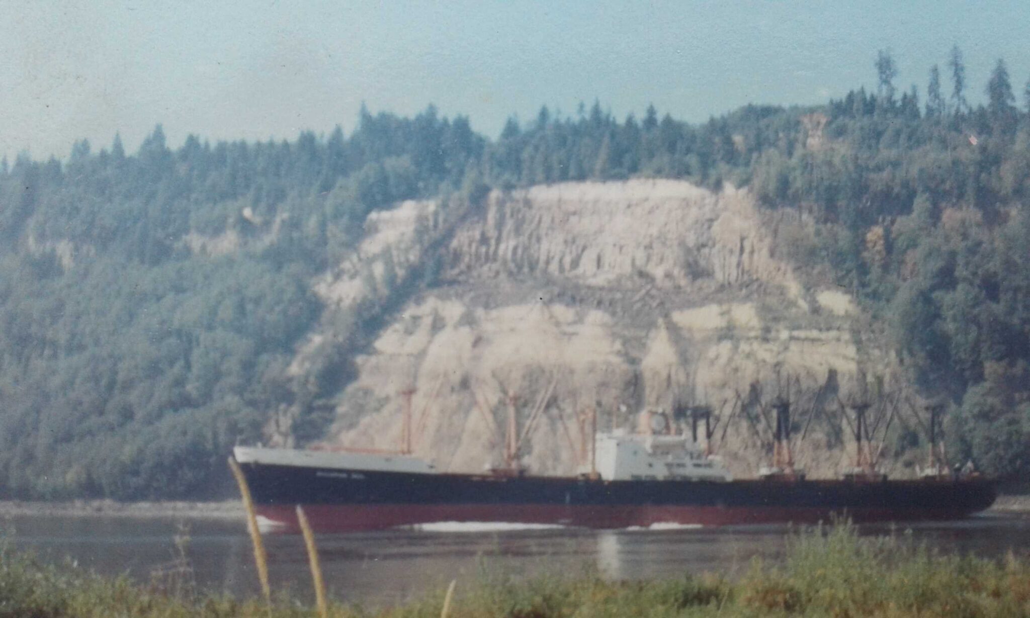History – Puget Island Diking District