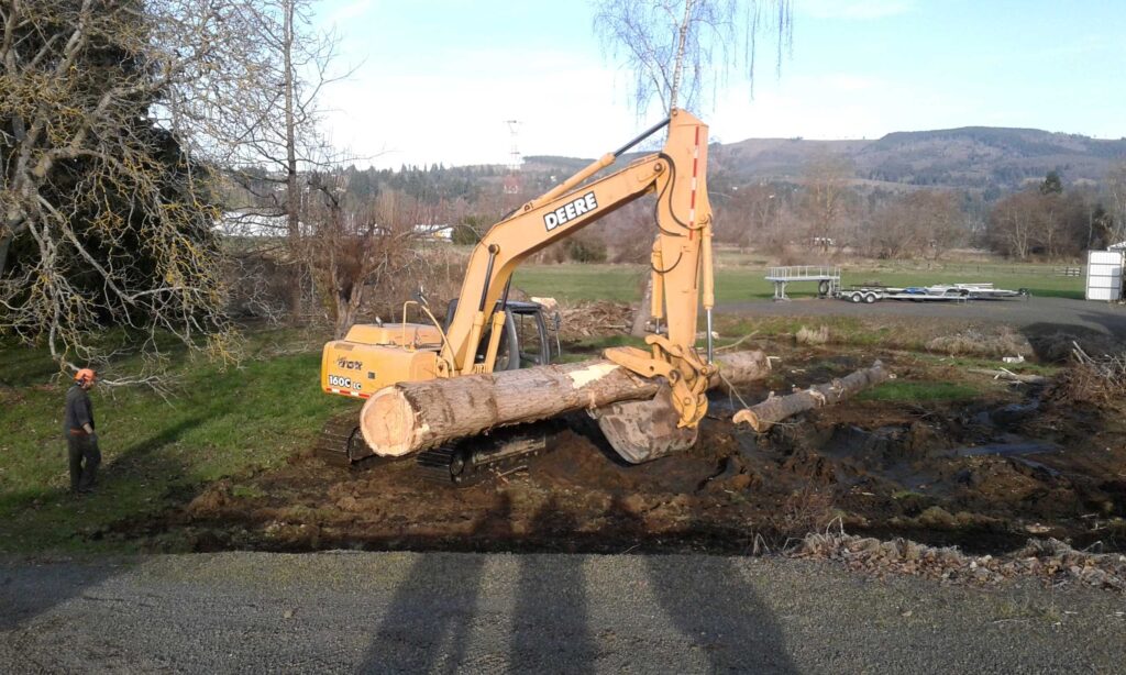 Forbes Slough Tree Removal – Puget Island Diking District