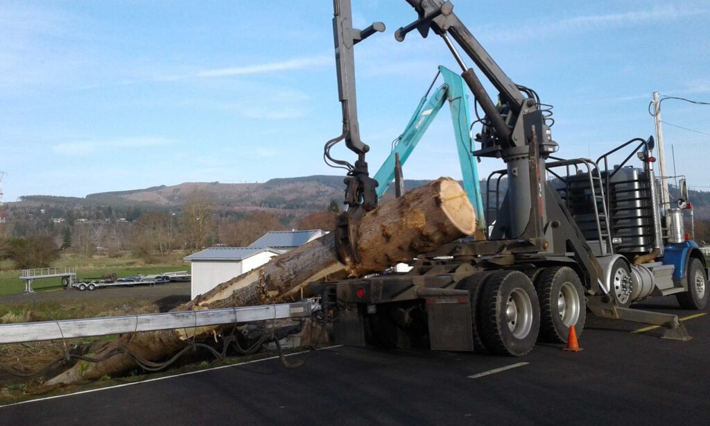Forbes Slough Tree Removal – Puget Island Diking District