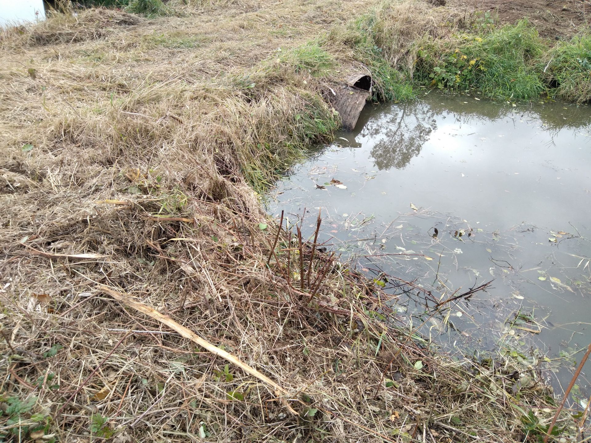 Duncan Slough Drainage Enhancement – Puget Island Diking District