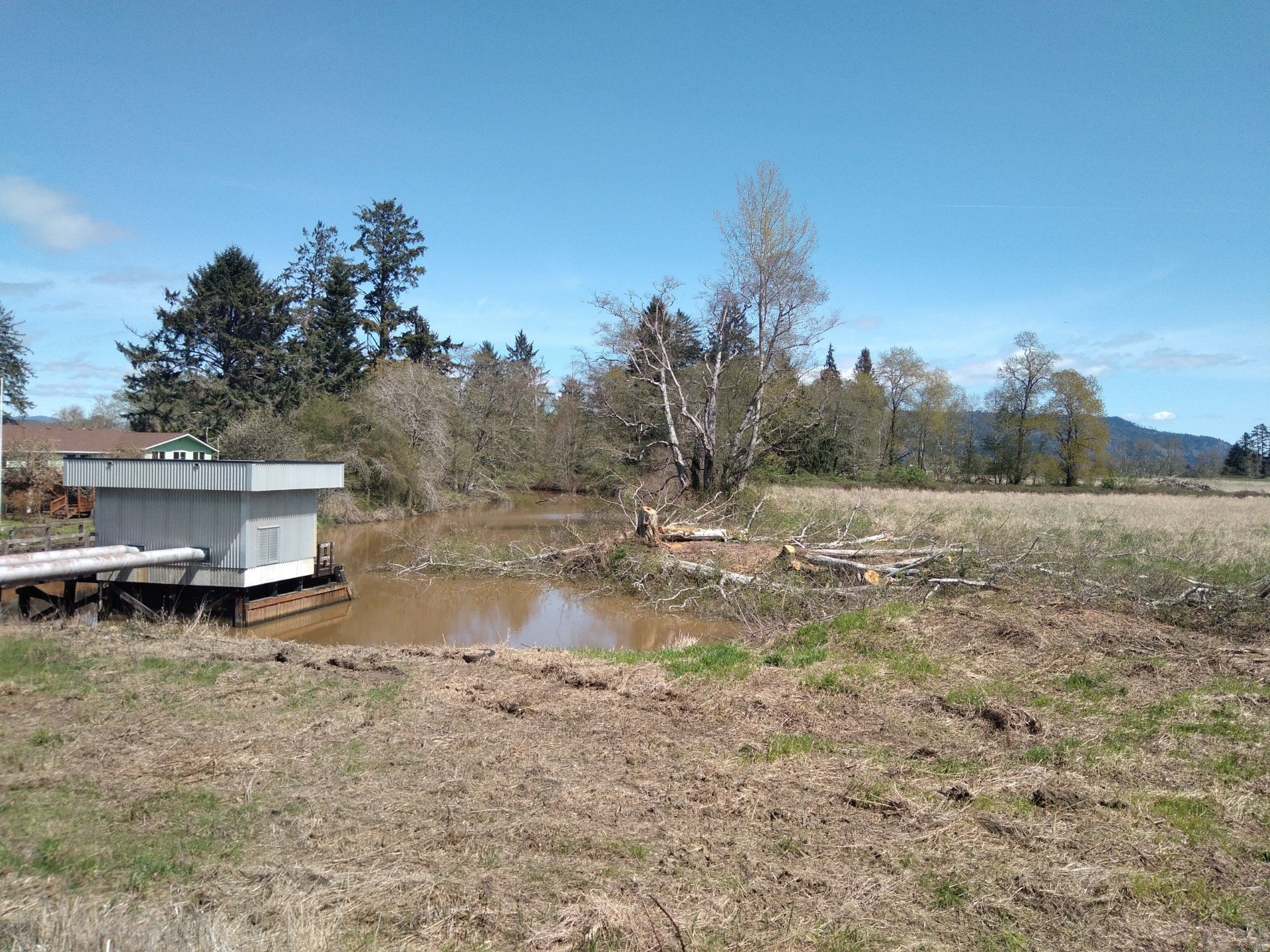 Duncan Slough Drainage Enhancement – Puget Island Diking District